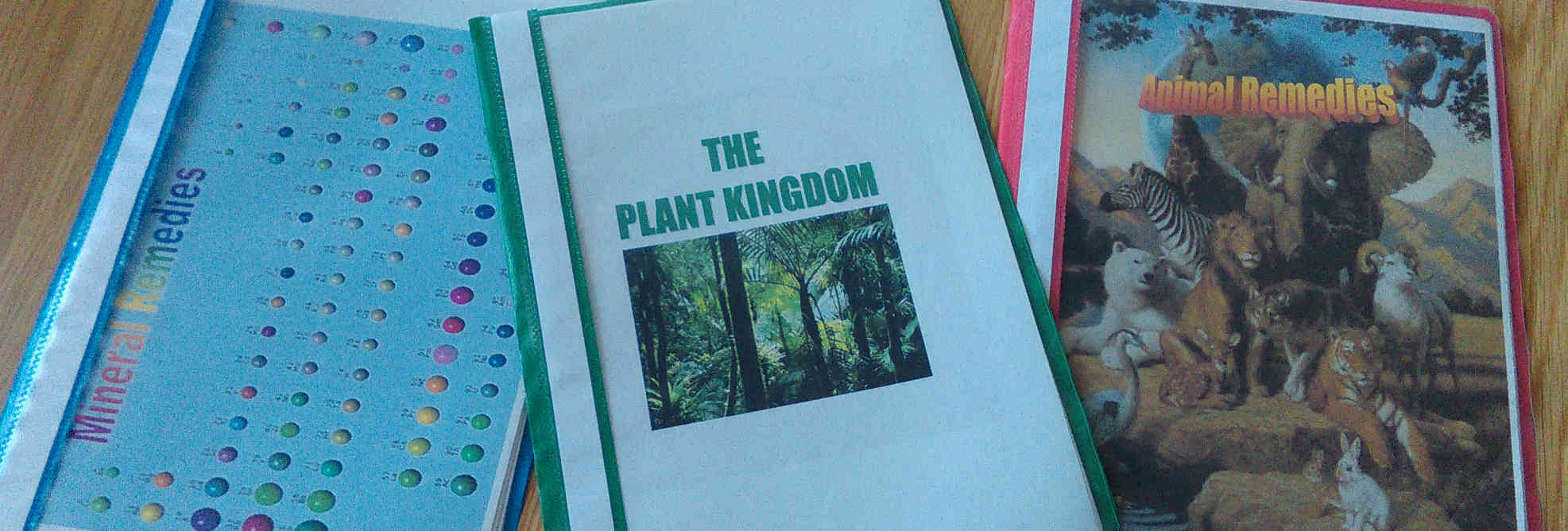 Elements of Healing | Homeopathy in Reigate, Surrey & South London